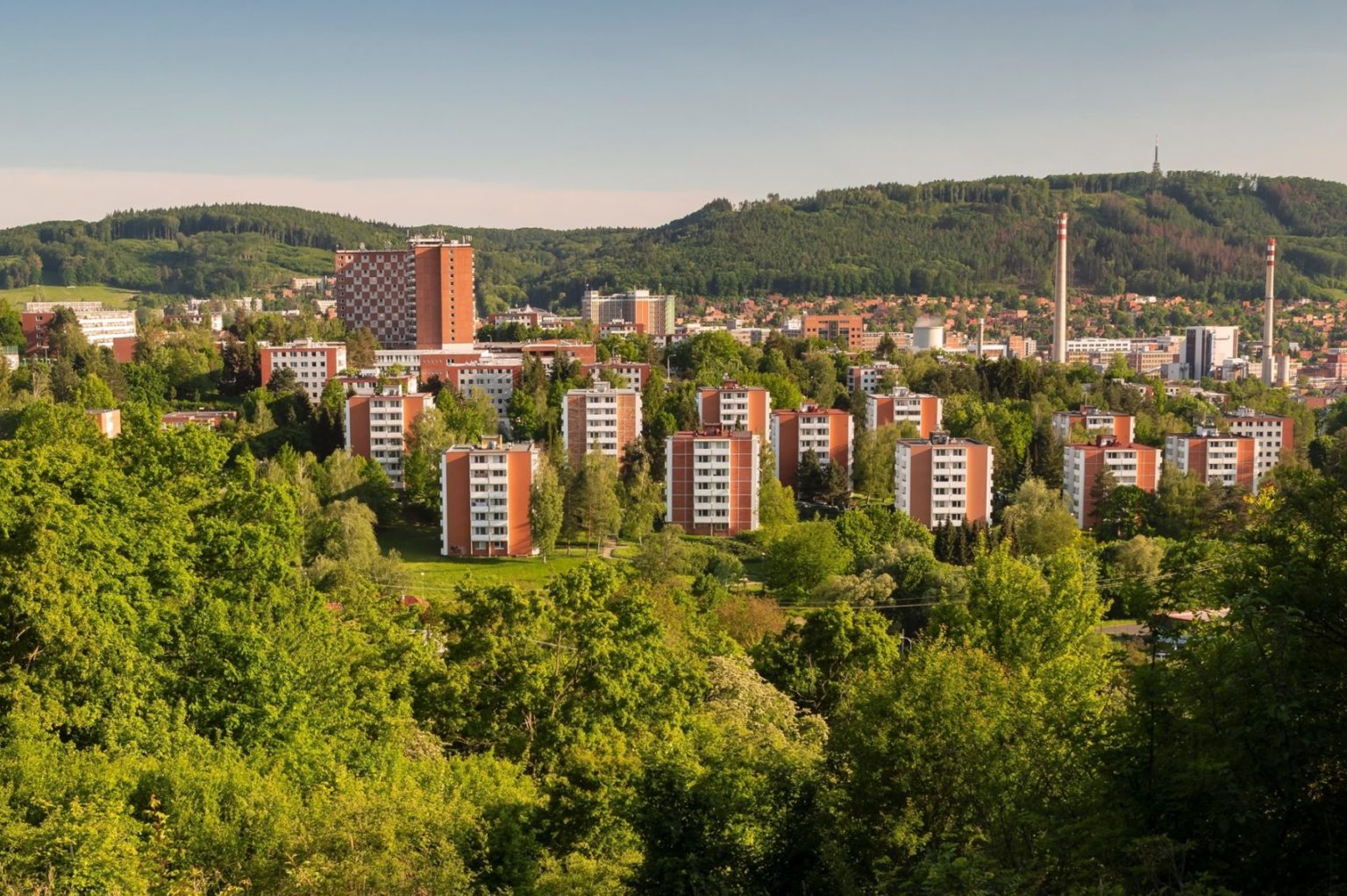 Ve Zlíně začala podzimní výsadba stromů. Které lokality budou zelenější ...